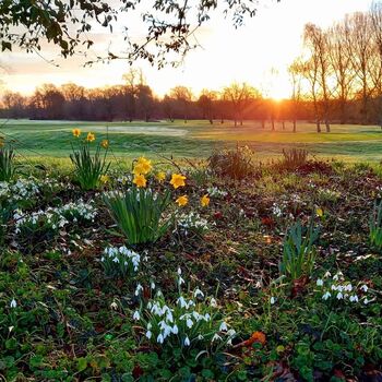 Course Guide :: Southwick Park Golf Club