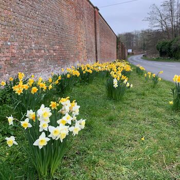 Course Guide :: Southwick Park Golf Club